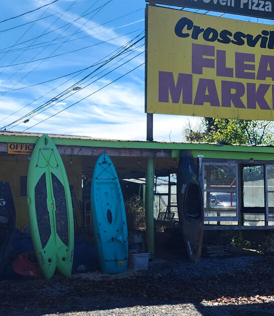 budget treasures tennessee market ftr