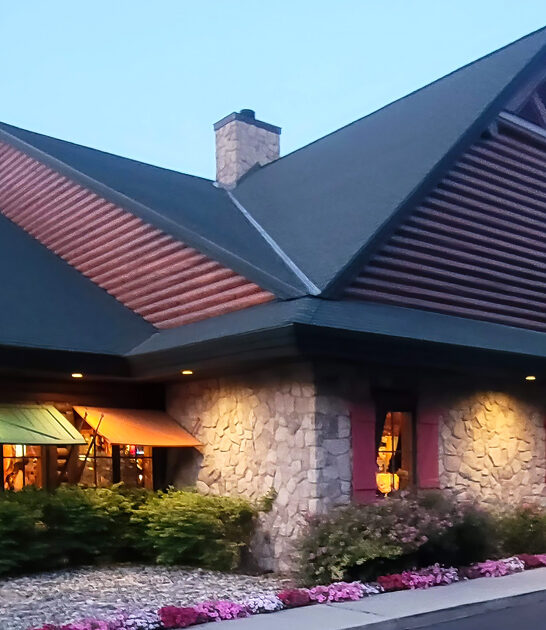 buffalo meatloaf succulent michigan ftr