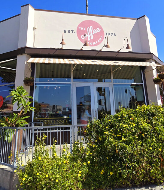 buttermilk biscuits california good ftr