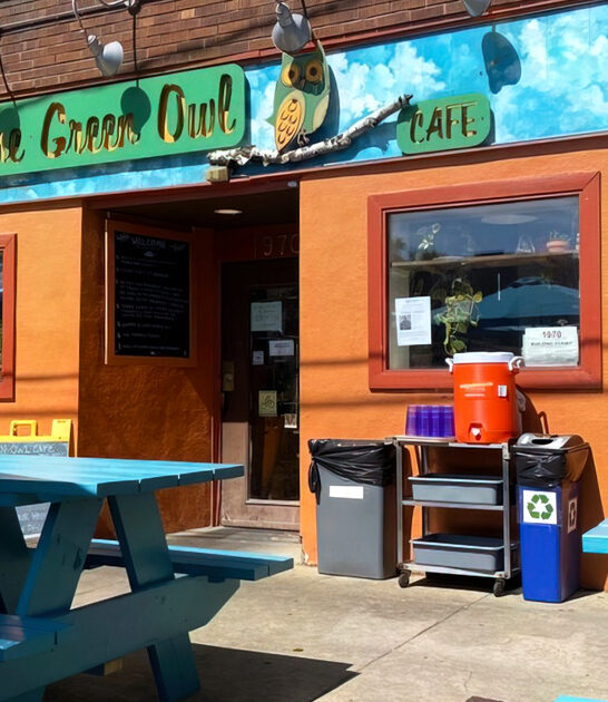 cafe wisconsin best quesadillas ftr