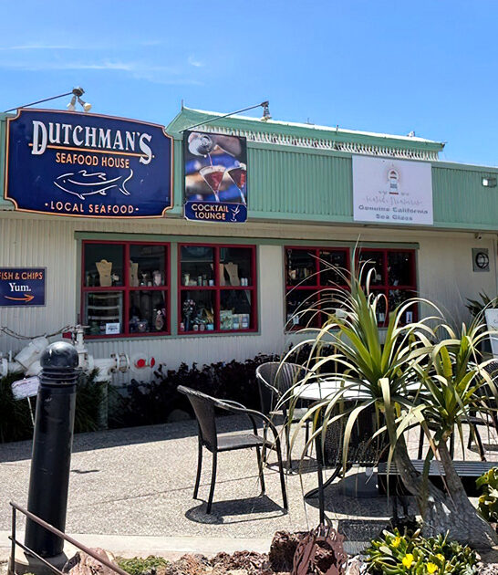 calamari fried restaurant california ftr