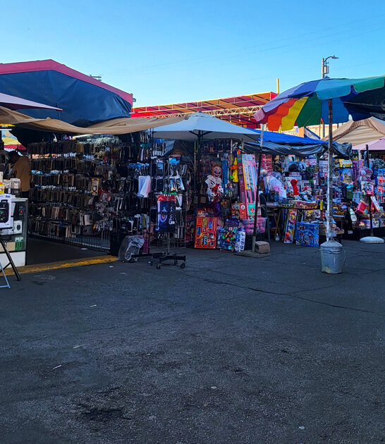 california affordable market flea ftr