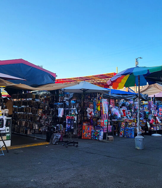 california bargain massive flea ftr