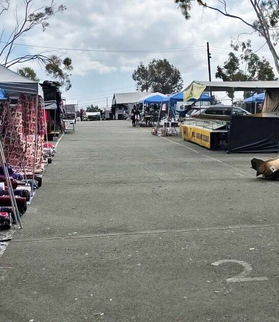 california biggest bargains market ftr