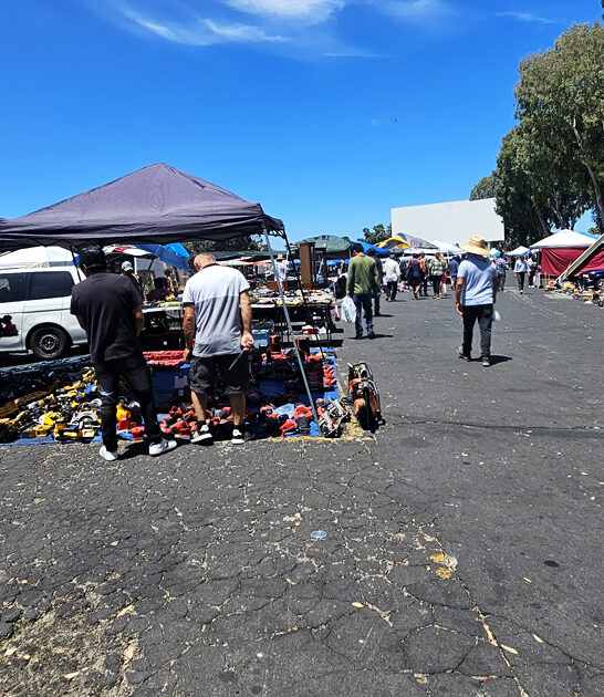 california car treasures market ftr
