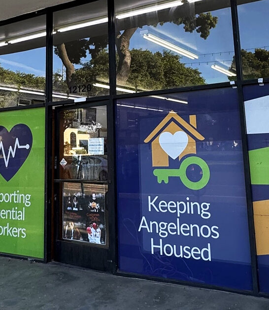 california cheap gigantic thrift ftr