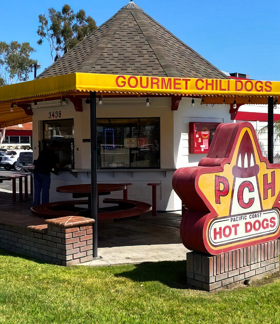 california chili cheese dog ftr