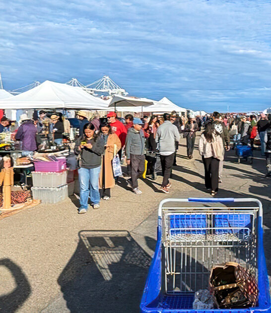 california cool stuff market ftr