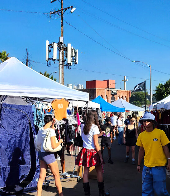 california crazy swap meet ftr