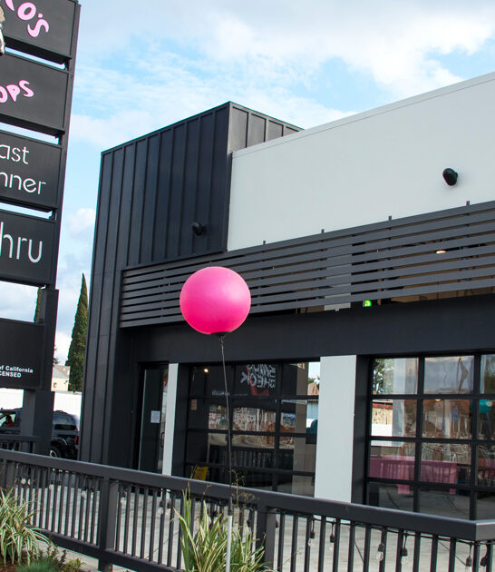 california diner best burrito ftr