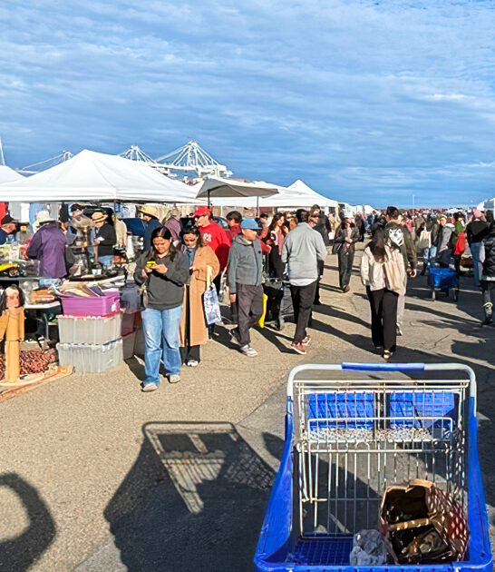 california dream flea market ftr