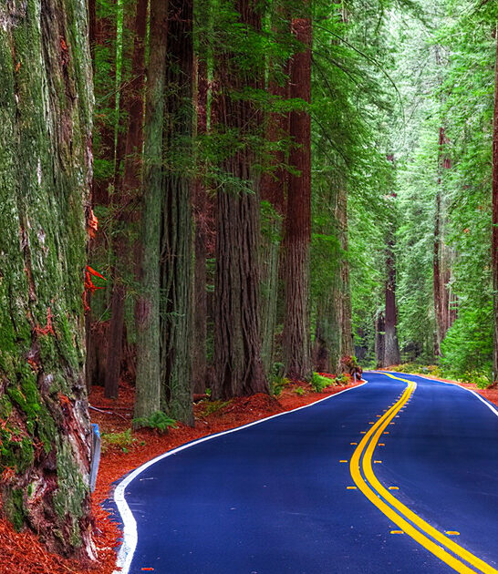 california drive in unforgettable ftr
