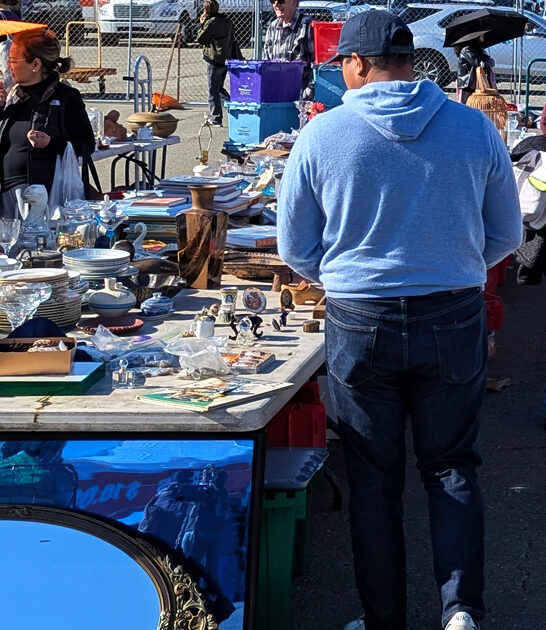 california fills bargains market ftr