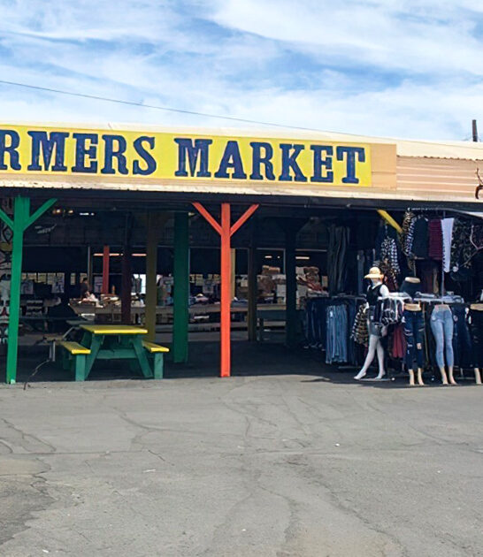 california flea deals massive ftr