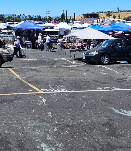 california flea enormous market ftr