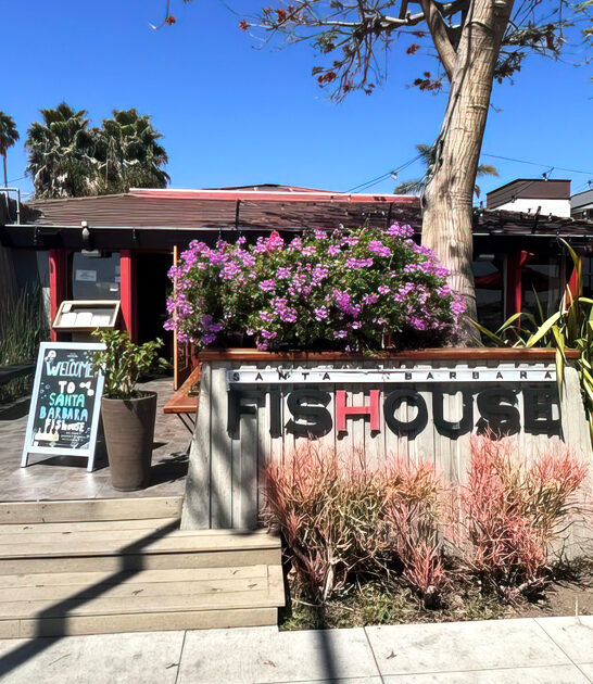 california fried calamari restaurant FTR