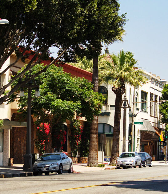 california hidden bargain city ftr