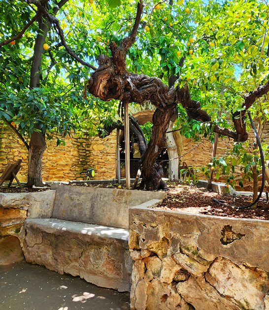 california historic underground garden ftr