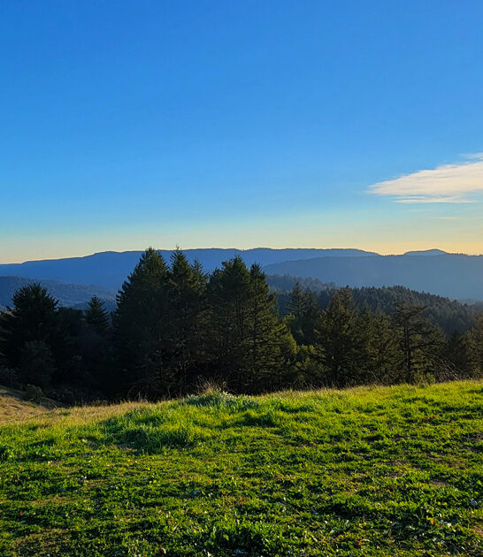 california majestic state park ftr