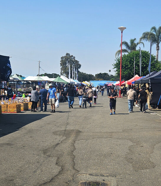 california market backseat bargains ftr