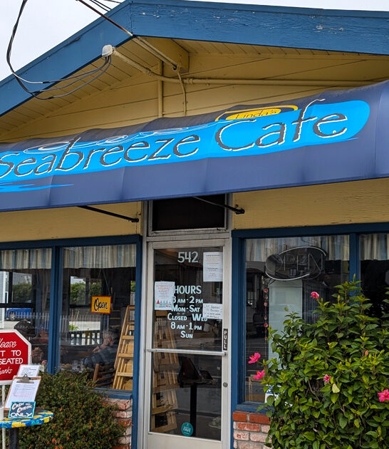 california morning cafe treasure ftr