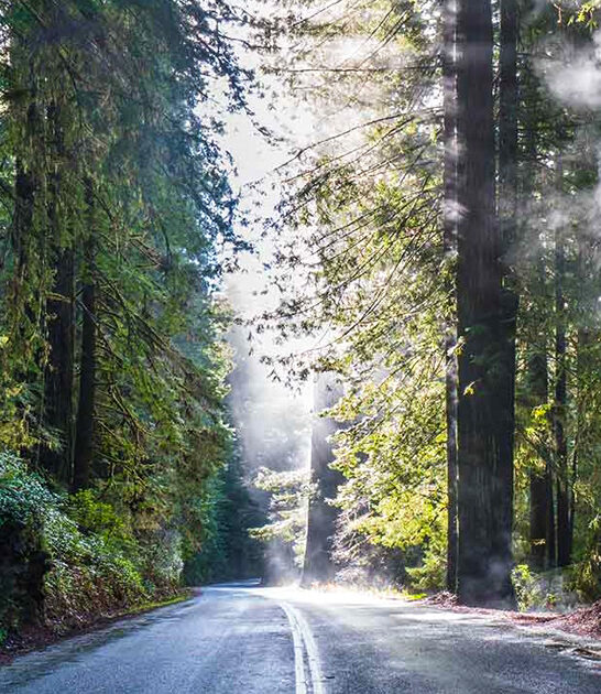 california parkway gorgeous mile ftr