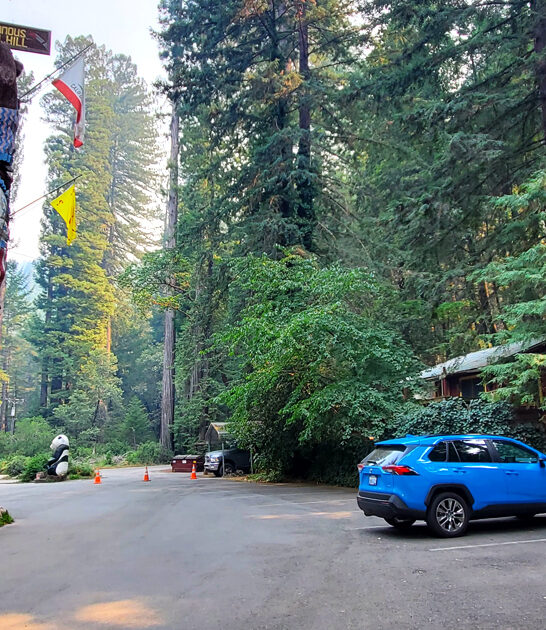california roadside attraction quirky ftr