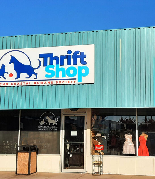 california shop thrift items ftr