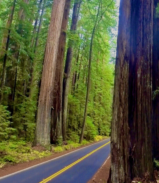 california state park journey ftr