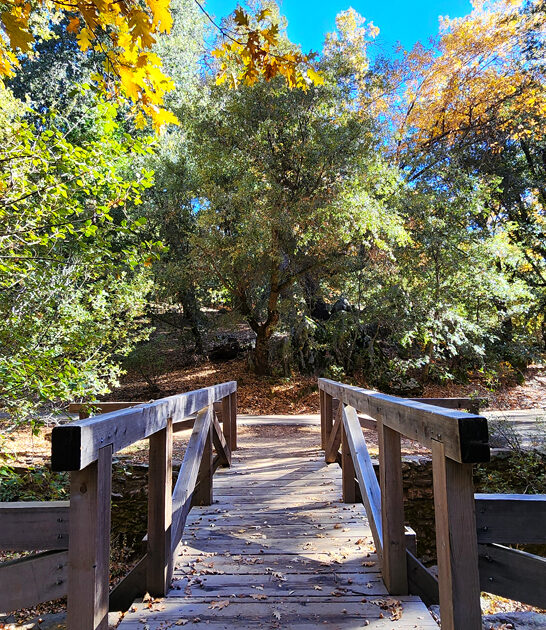 california state park relaxation ftr