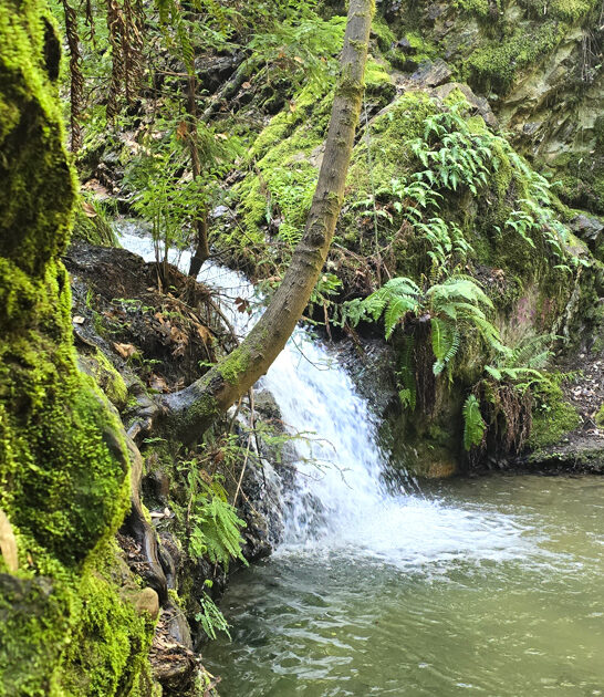 california state park solitude ftr