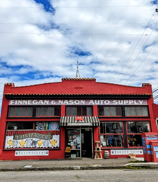 california thrift massive store ftr