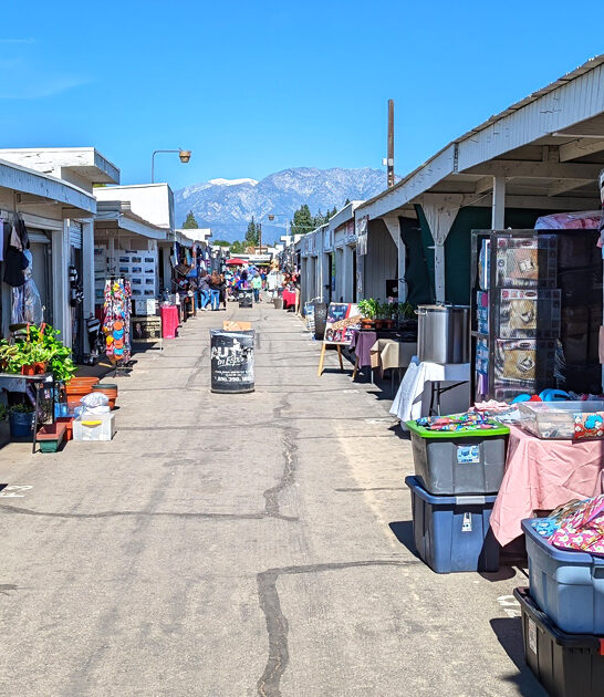 california ultimate bargain destination ftr