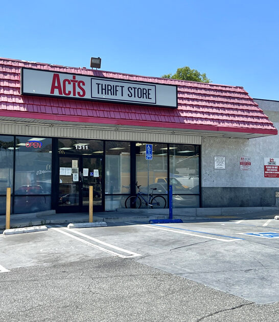 california vintage thrift shopping ftr