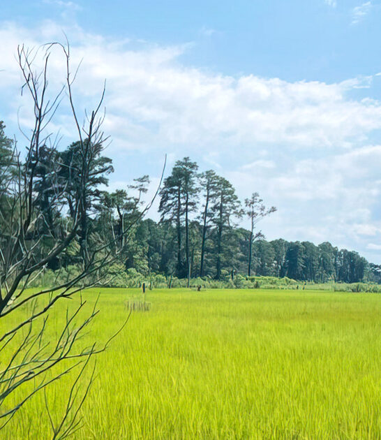 charming park delaware dream ftr