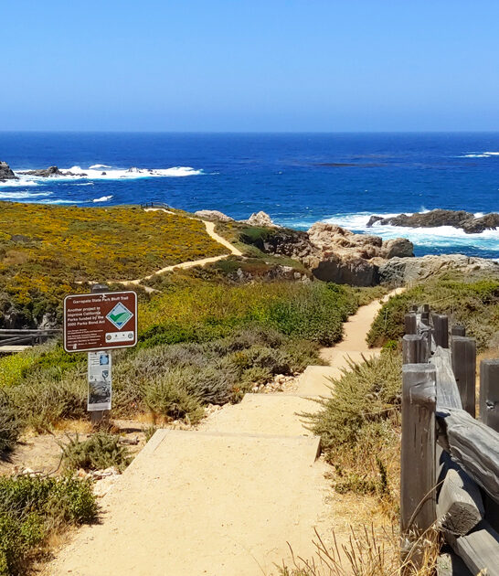 charming park hidden california ftr