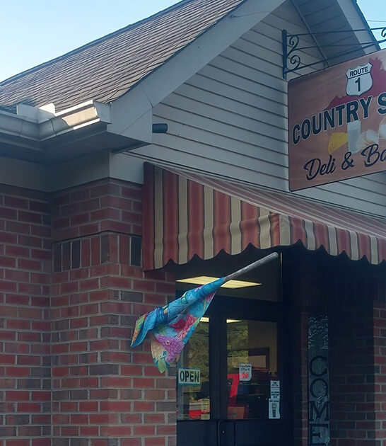 charming restaurants virginia dine ftr