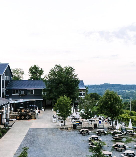 charming vineyards virginia serve ftr