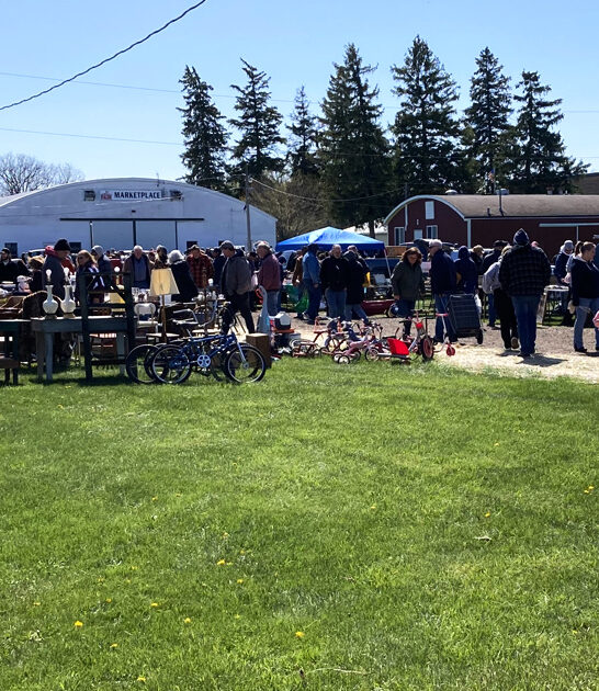 cheap wisconsin markets flea ftr