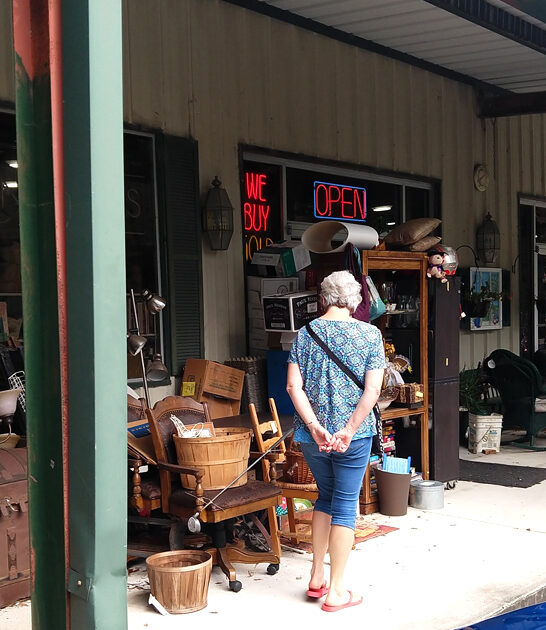 cheapest collectibles labyrinth florida ftr