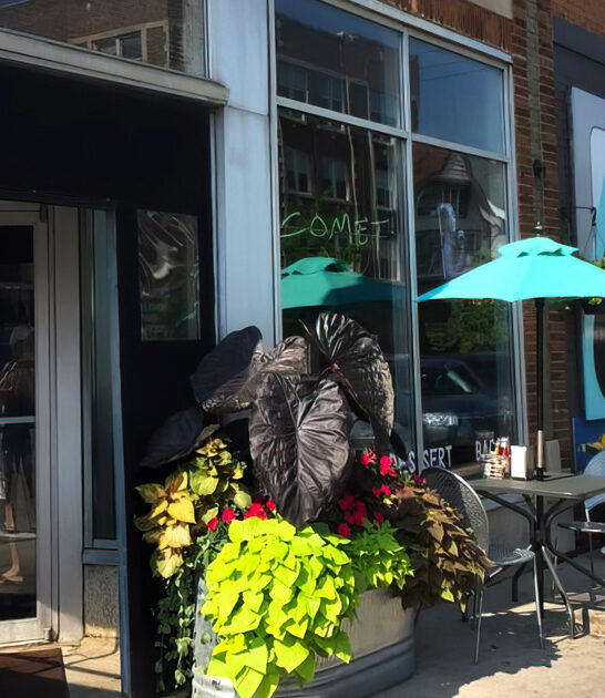 chicken sandwich cafe wisconsin FTR