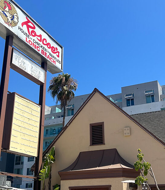 chicken wings best california ftr