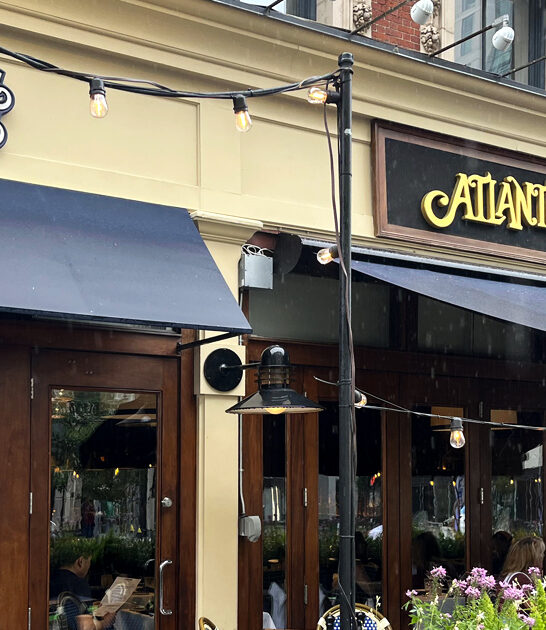 chilean sea bass massachusetts ftr