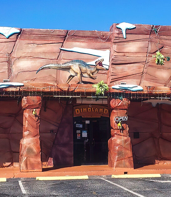 chips south carolina fish ftr