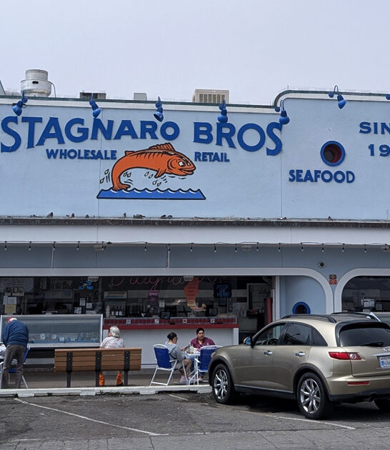 clam chowder california succulent ftr