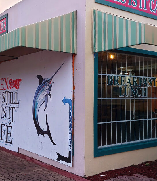 classic cafe succulent florida ftr