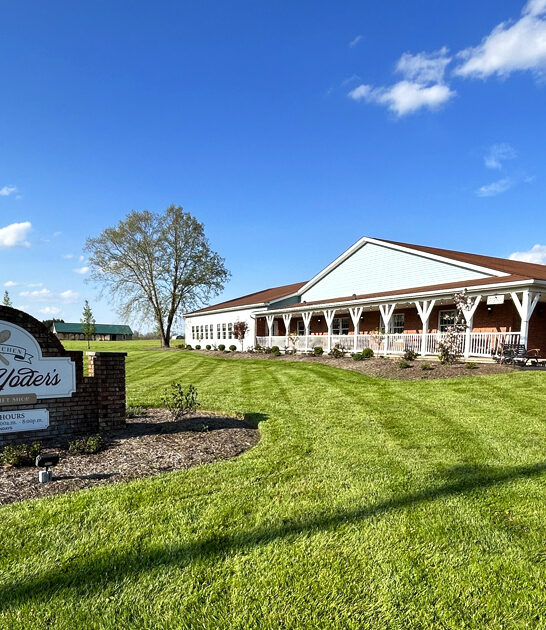 comforting mashed potatoes ohio ftr