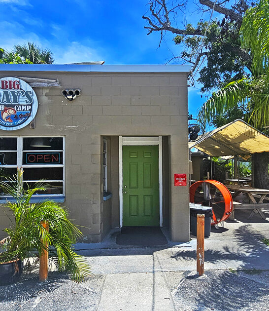 conch fritters succulent florida ftr