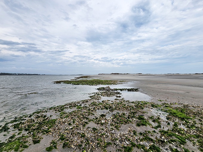 Nature's watercolor palette on full display. Low tide reveals Folly Beach's hidden ecosystem, where land and sea engage in their ancient dance.