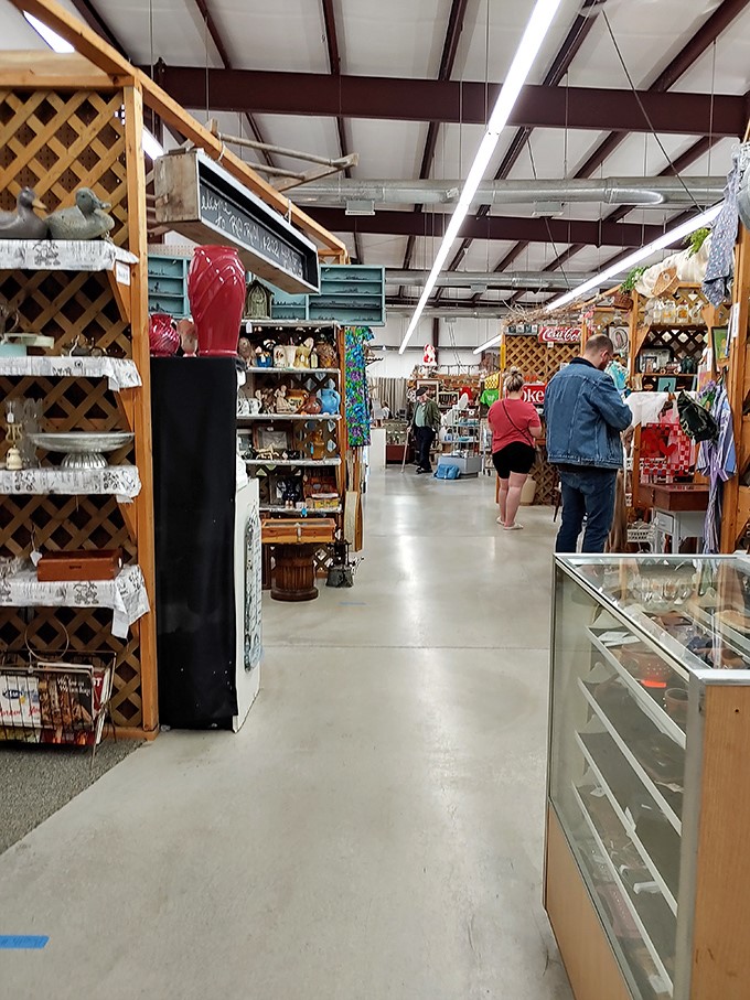 That warehouse-style space means serious inventory - the kind that makes collectors' hearts skip a beat.